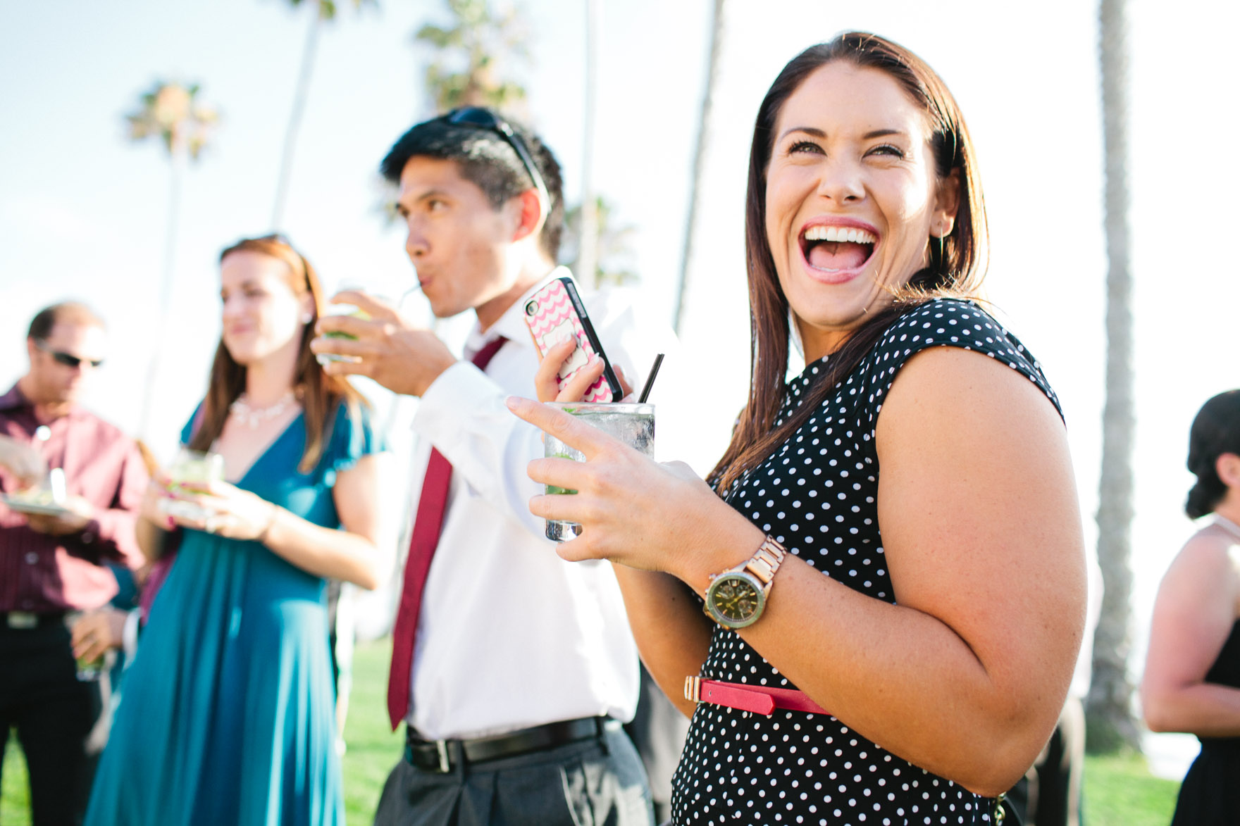The Palms and the Pacific - Let's Frolic Together