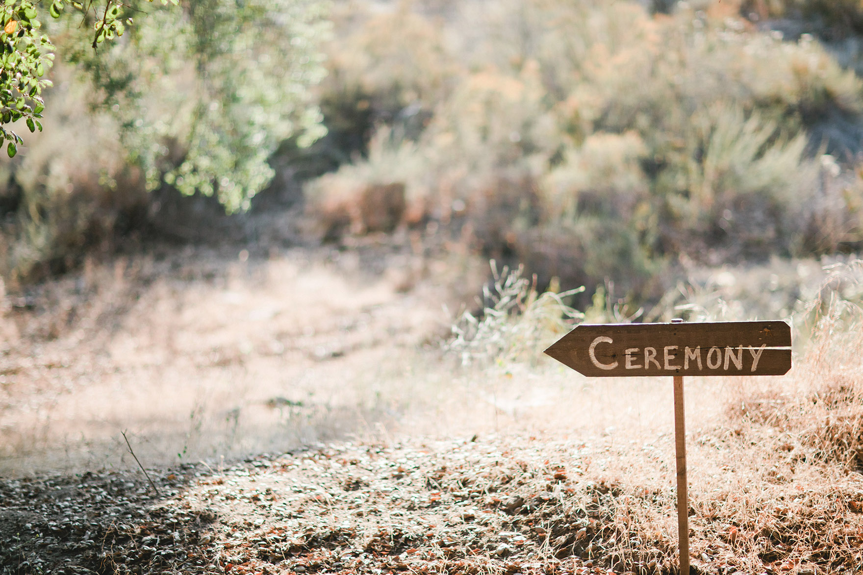 Tender Vintage Woodland Nuptials - Let's Frolic Together