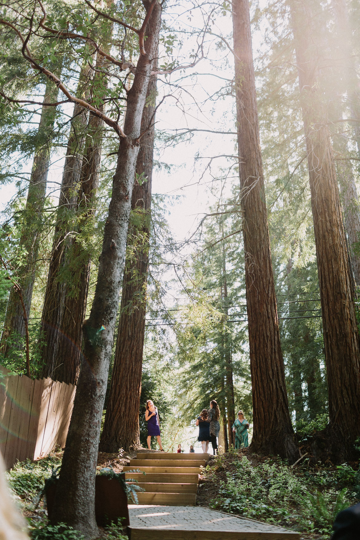 Music Festival Wedding at Pema Osel Ling - Let's Frolic Together