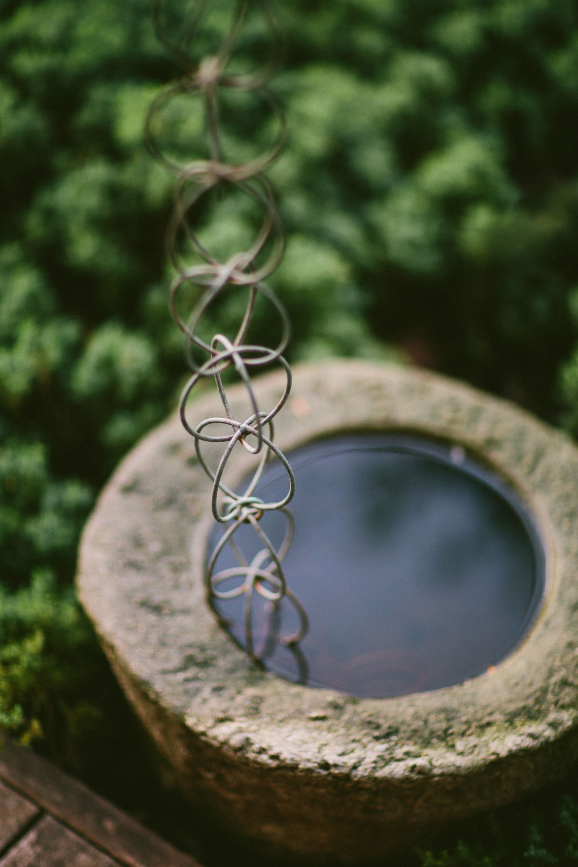 A Dreamy Cherry Blossom Engagement - Let's Frolic Together