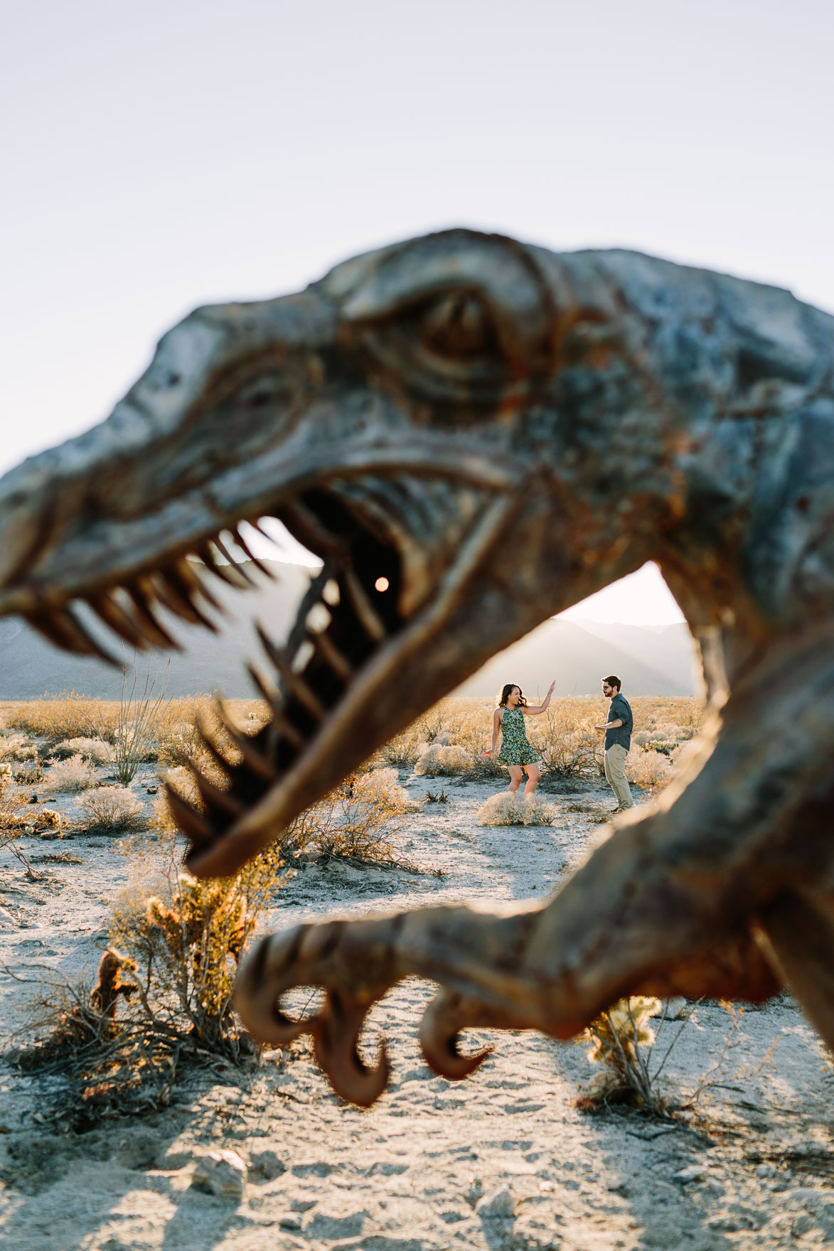 A Wild Desert Dinosaur Adventure - Let's Frolic Together