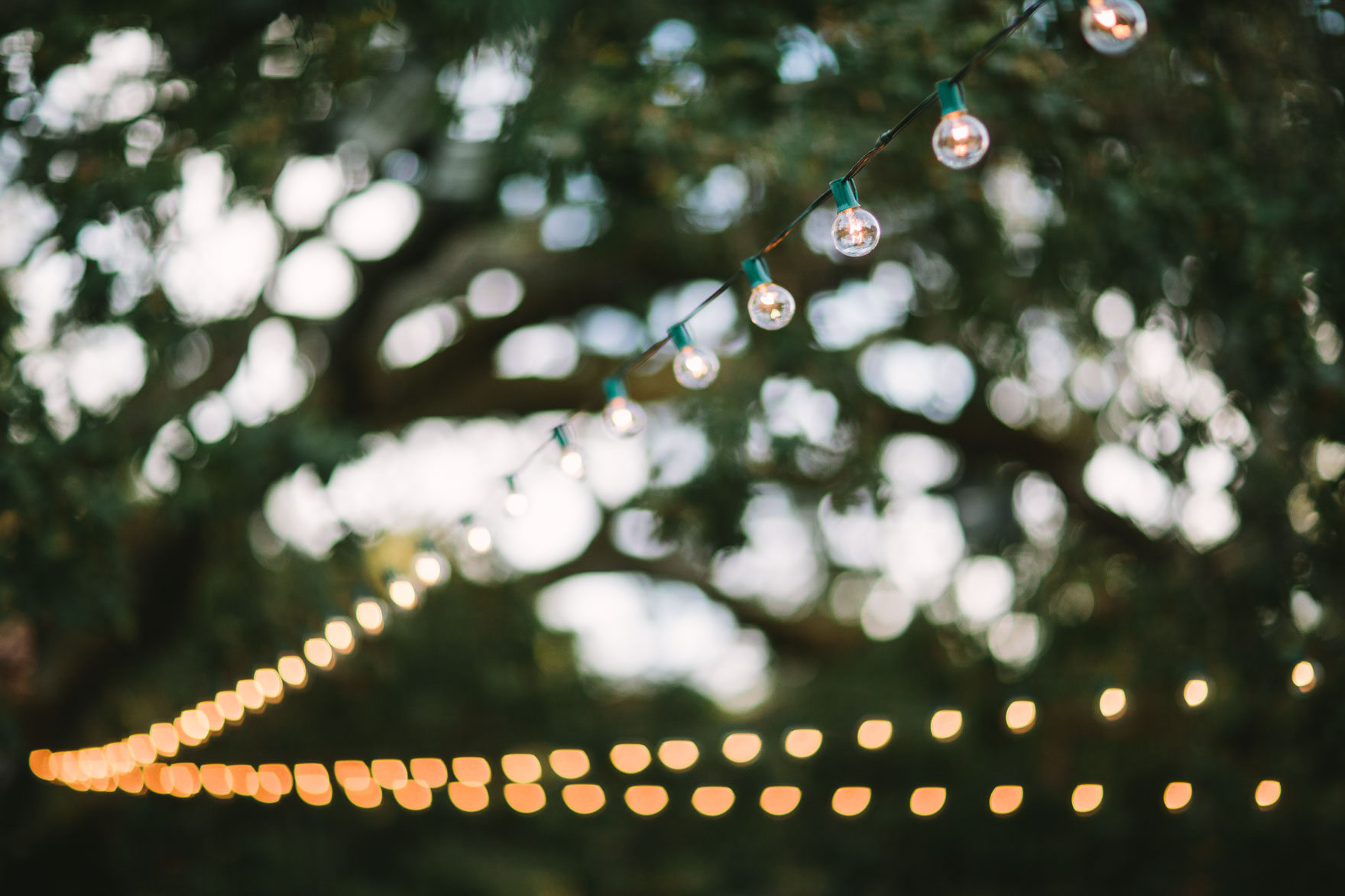 Bay Area Dreamy Garden Wedding - Let's Frolic Together