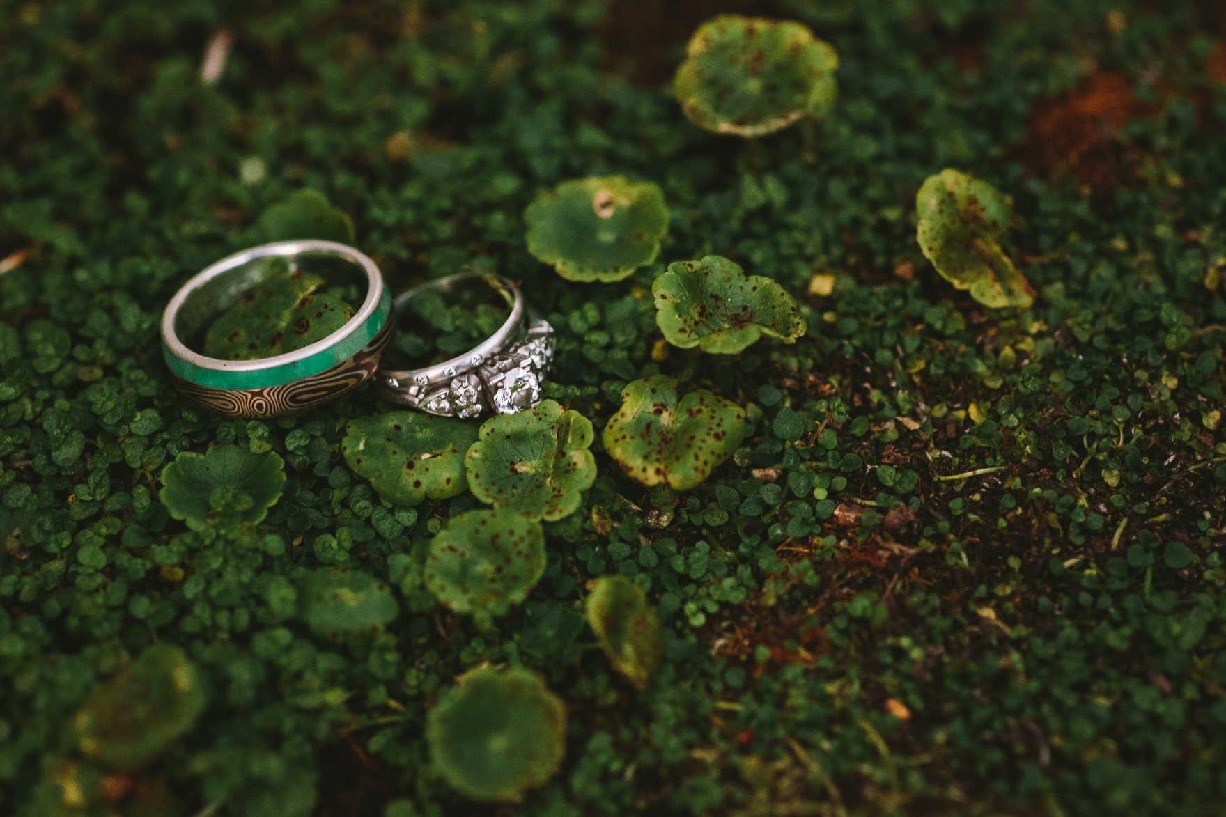 Bay Area Dreamy Garden Wedding - Let's Frolic Together