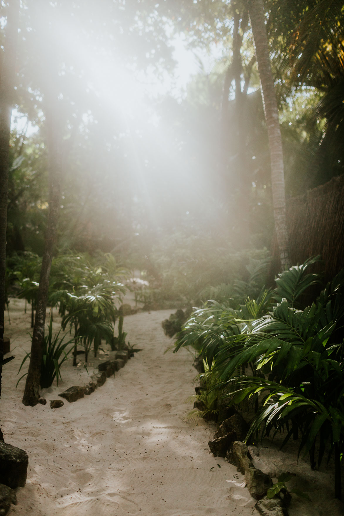 Tropical Jungle Tulum Wedding - Let's Frolic Together