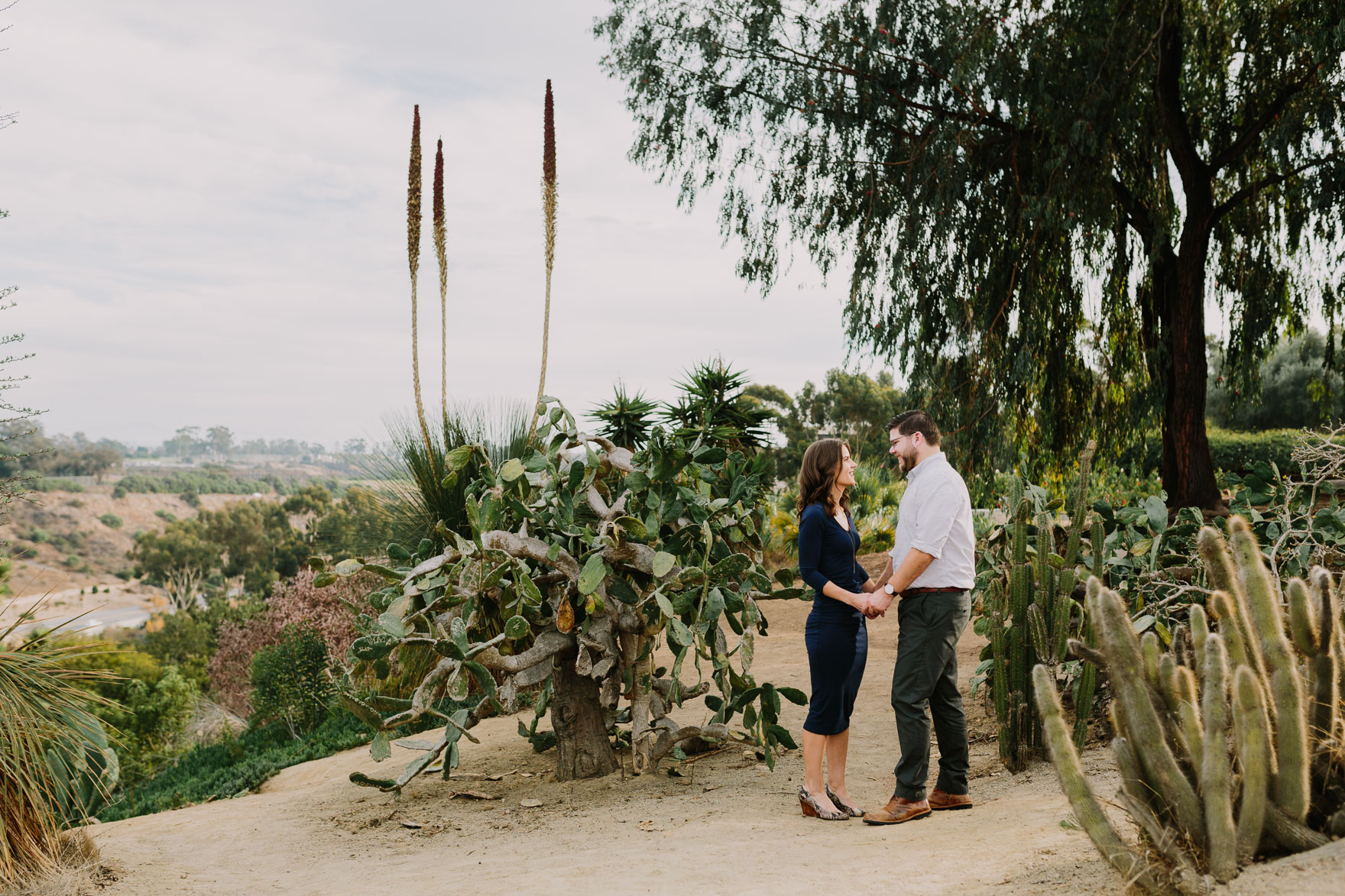 Cactus Snuggles and Silliness - Let's Frolic Together