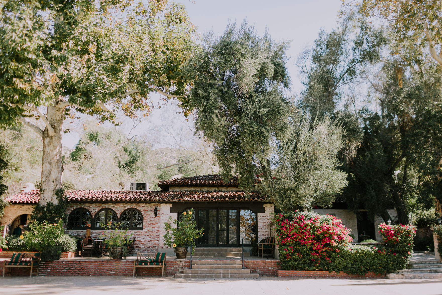 Hummingbird Nest Ranch Lovebirds - Let's Frolic Together