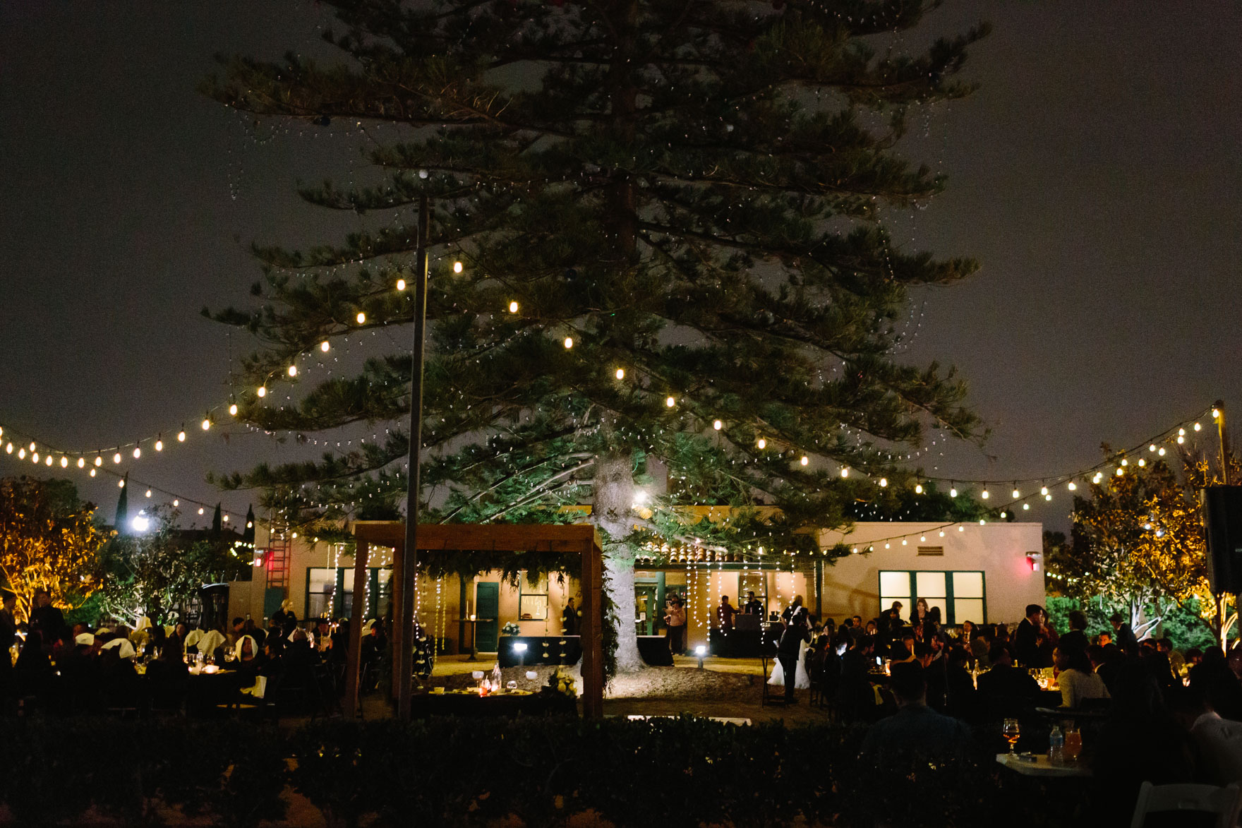 Stone Brewery Wedding Magic - Let's Frolic Together