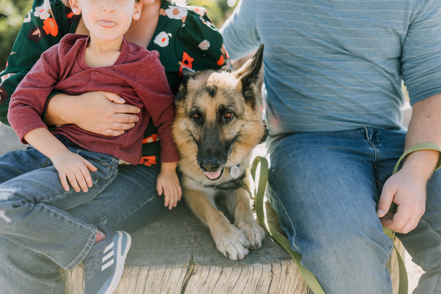 Classic Family Fun in the Park - Let's Frolic Together
